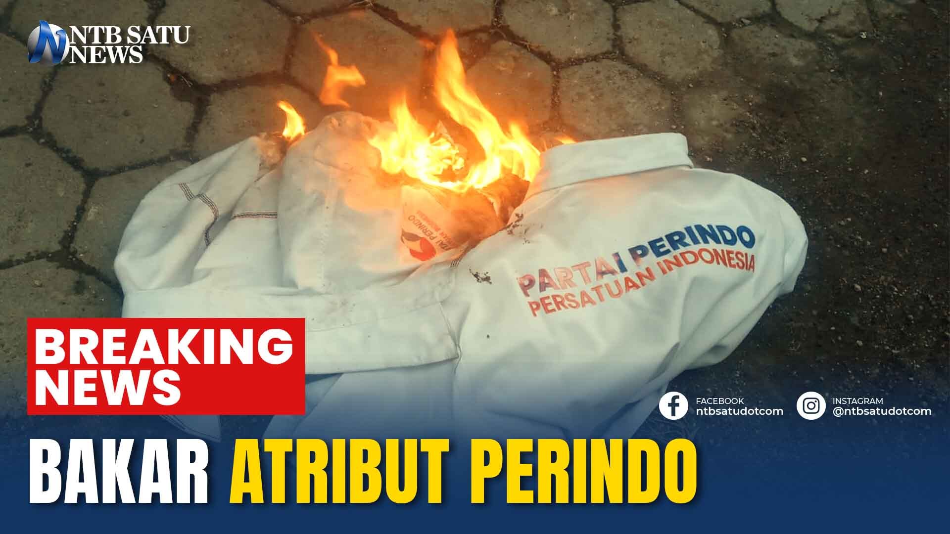 Kecewa, Kader Perindo NTB Kompak Mundur - NTBSatu Kecewa, Kader Perindo NTB Kompak Mundur - NTBSatu