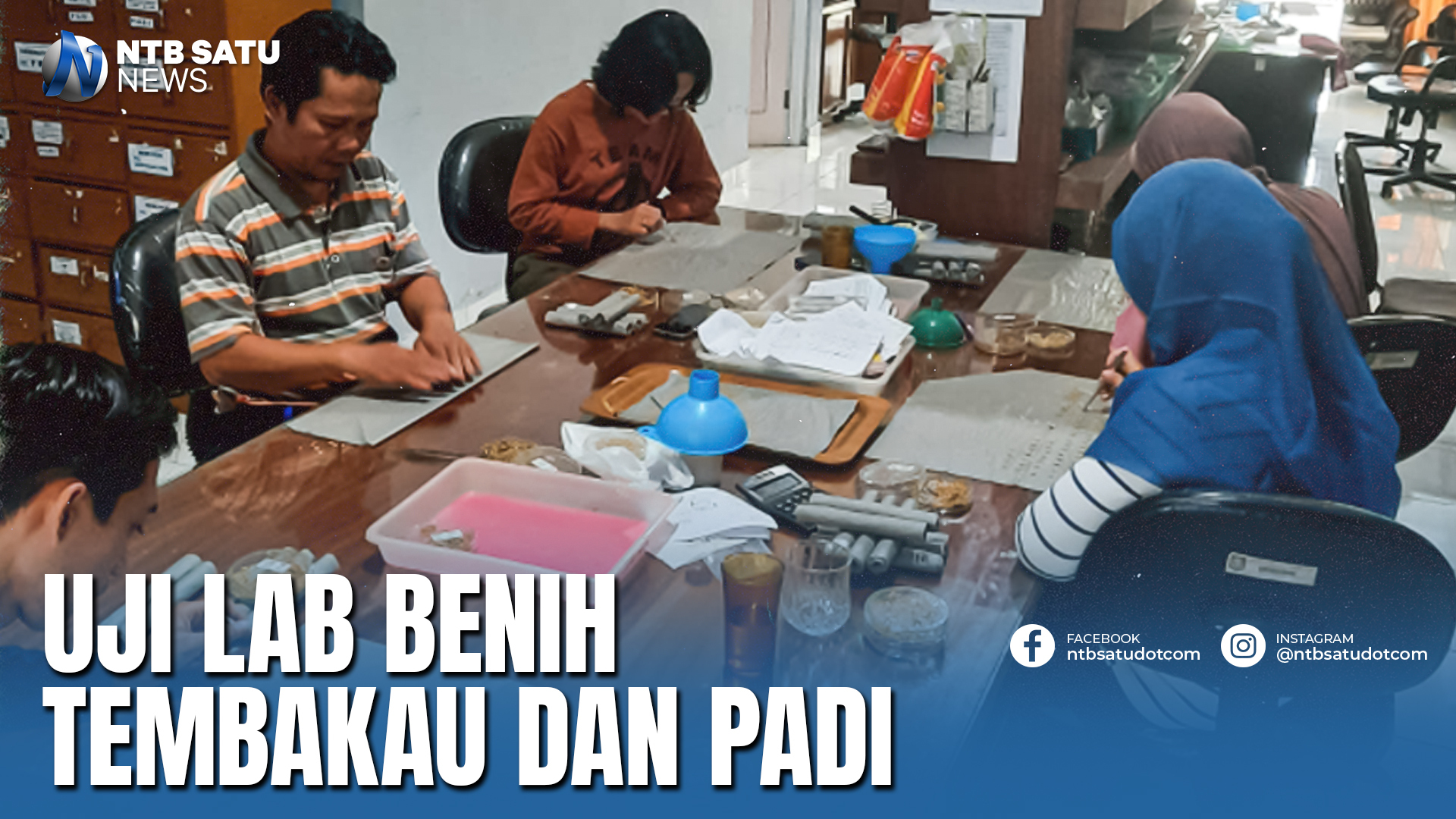 Video: BPSB Distanbun NTB Rutin Melakukan Uji Sertifikasi Benih - NTBSatu